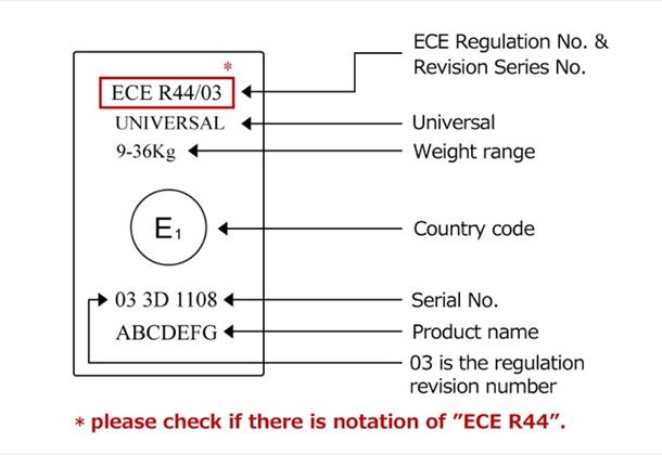 Carry-on Baggage (Special Items in the Cabin)- STARLUX Airlines